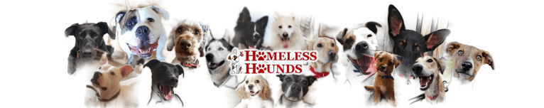 Homeless Hounds – Help us to help them