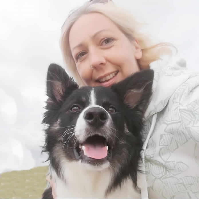 Foster a dog – Homeless Hounds